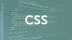 CSS | Highbrow