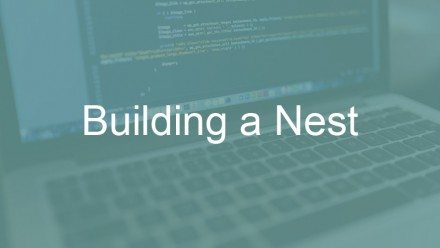 Building a Nest | Highbrow