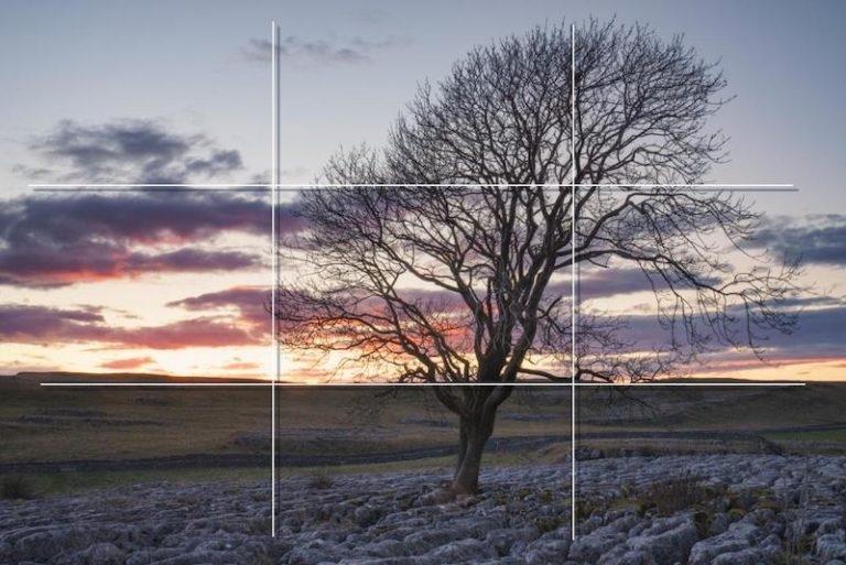 Getting Creative with Composition | Highbrow