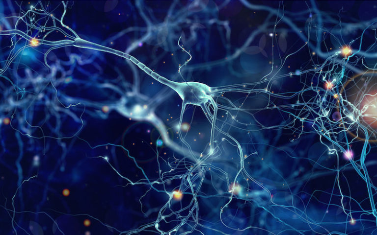 How Do Neurons “Fire”? | Highbrow