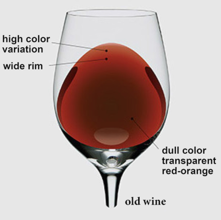 Red Wine Appearance | Highbrow