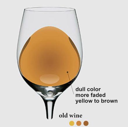 White Wine Appearance | Highbrow