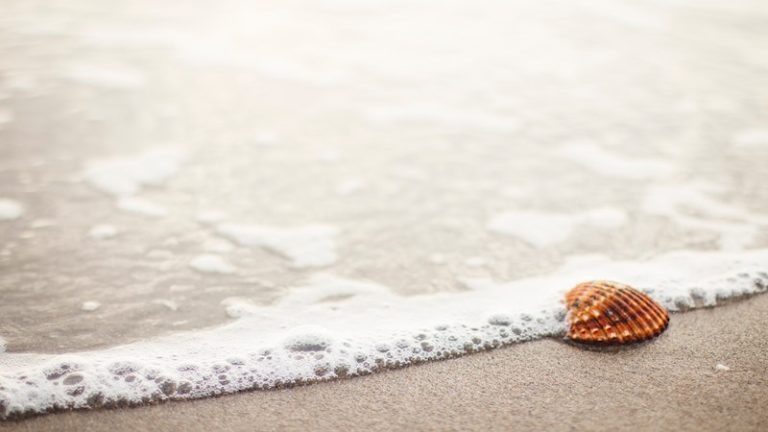 The Neo-Freudians | Highbrow