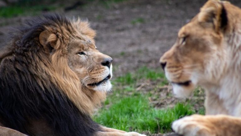 Separating the Person From the Behaviours | Highbrow